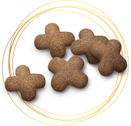 Ração Frost Sensitive Skin All Breeds Super Premium para Cães Adultos ...