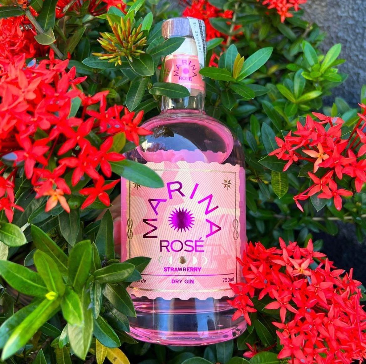 Gin Marina Rosé Strawberry - 750ML - Bebida In Box