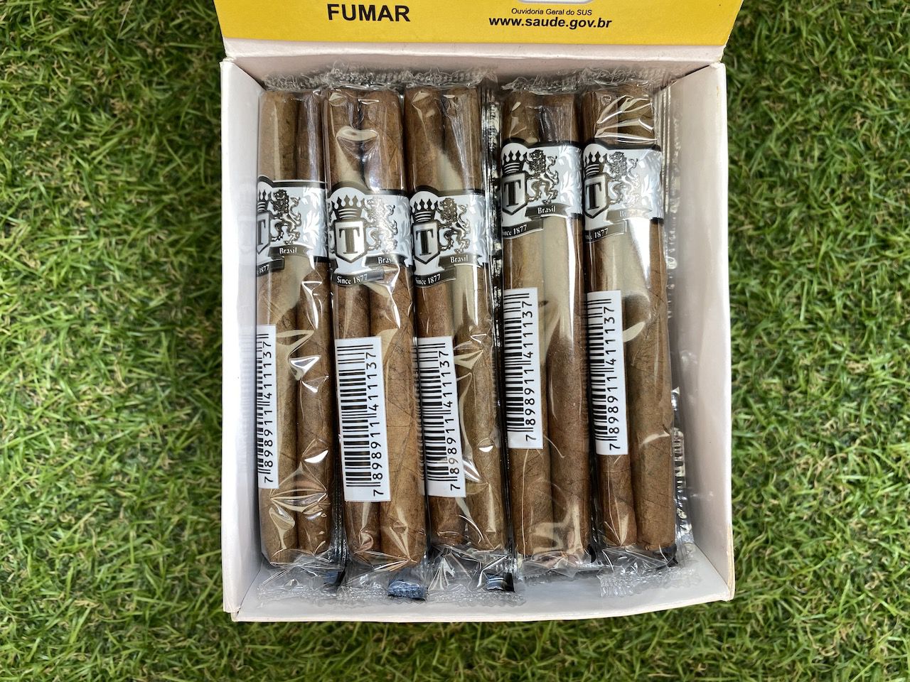 Cigarrilha Talvis Coronita Natural - Caixa com 60 - PipeSmoking360 ...