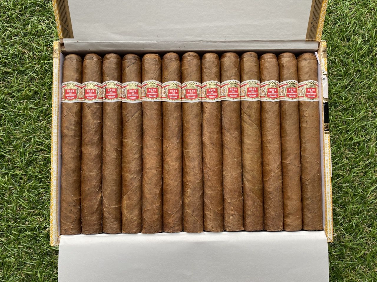 Charuto Cubano Hoyo de Monterrey Palmas Extras - Unidade ...
