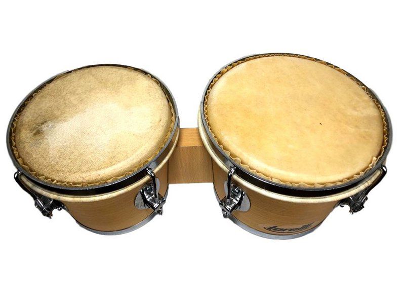 Bongo De Madeira Natural 6x7 Torelli Tb010 Profissional Capa - Loja de ...