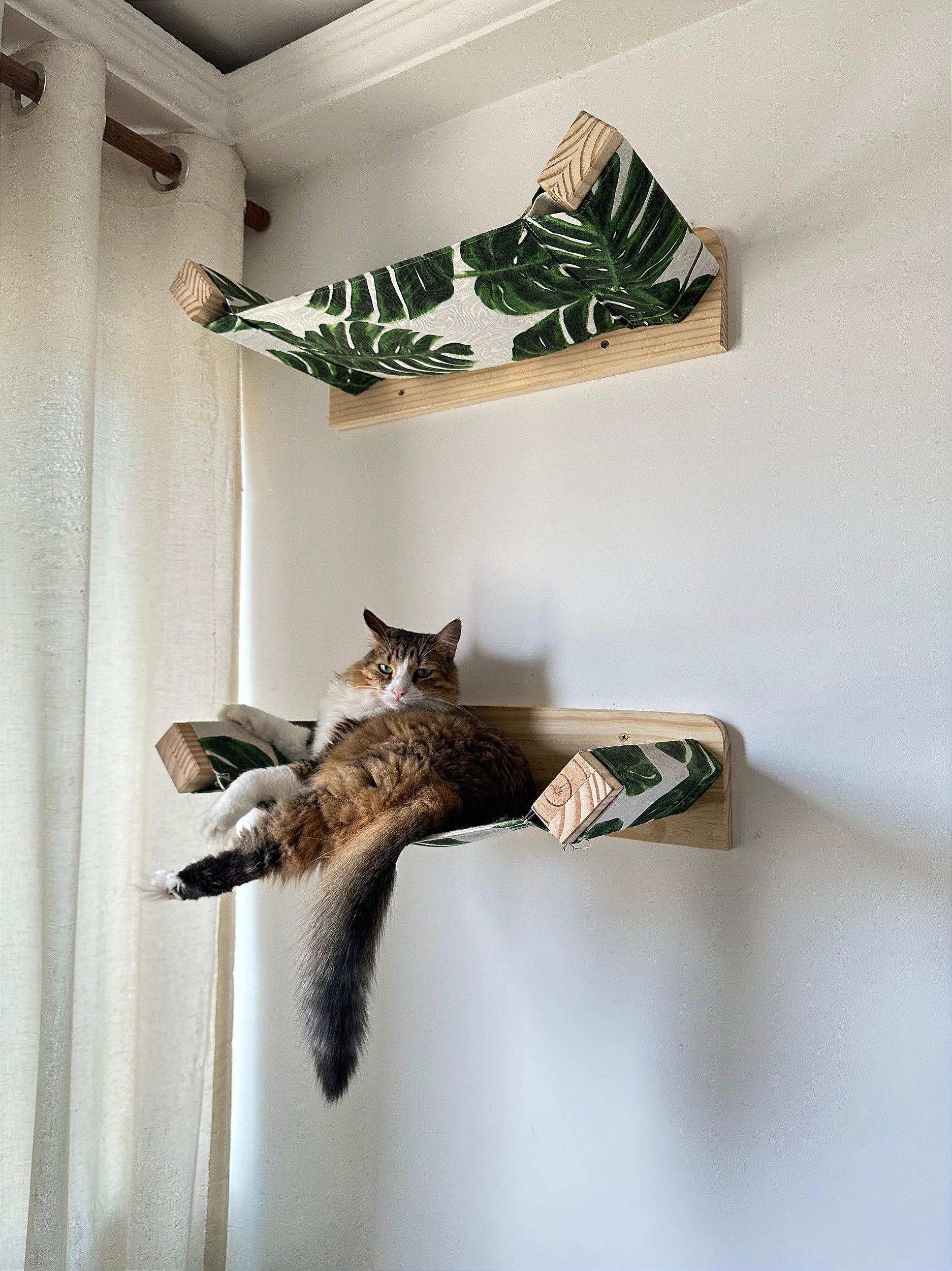 Kit Boss - CatBoss | Acessórios para o seu gatinho