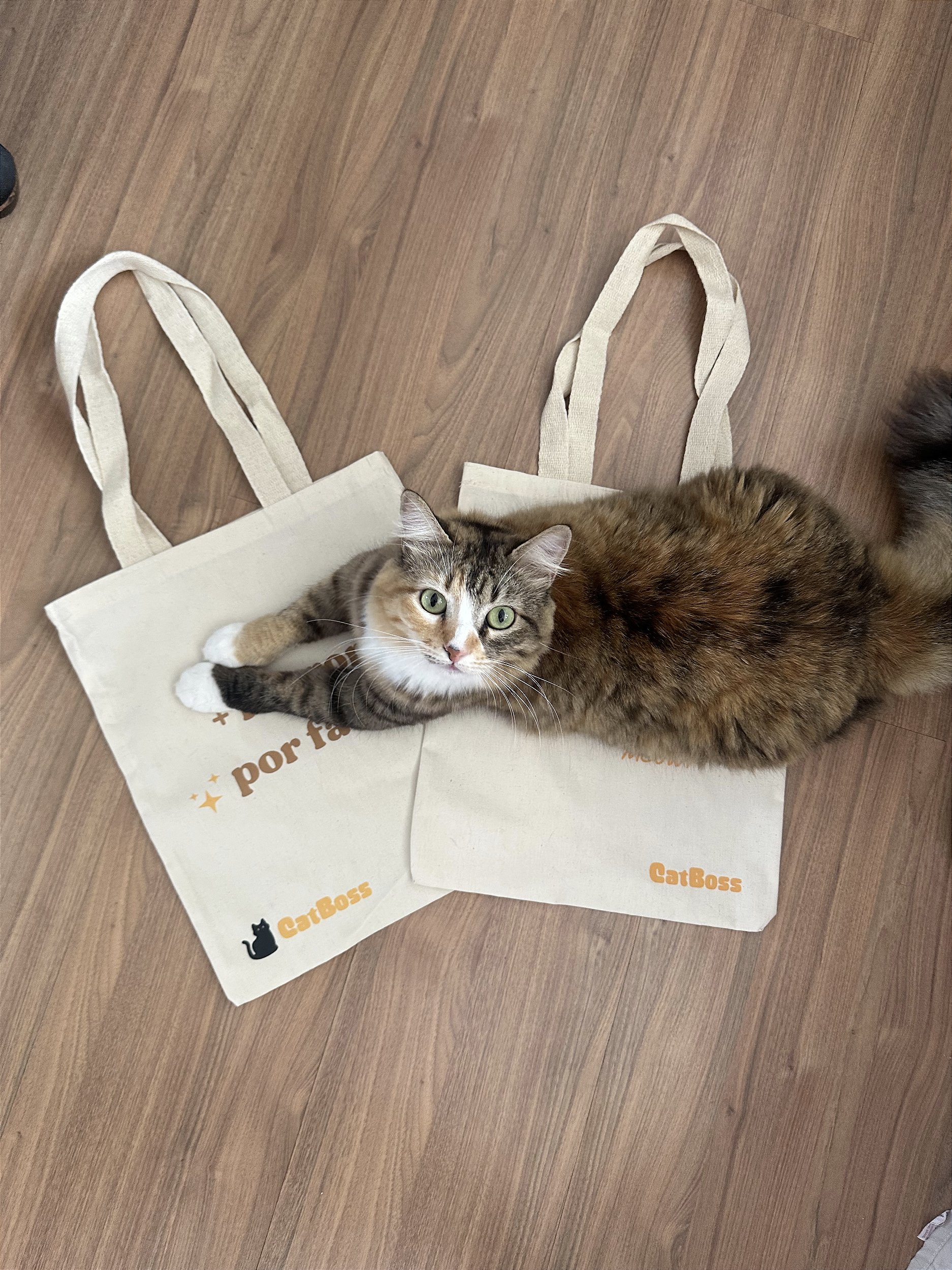 Ecobag Gateira “Don’t Stress Meowt” - CatBoss | Acessórios para o seu gatinho