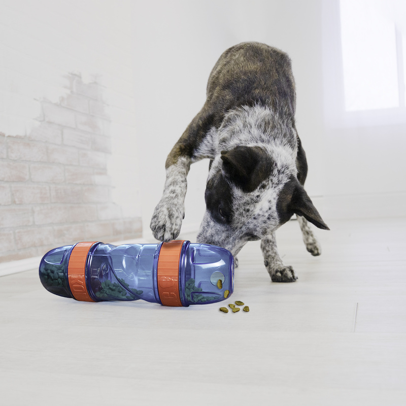 KONG SCUTTLE POD - Dispenser de Ração - Loja do Pet feliz - Pricompet