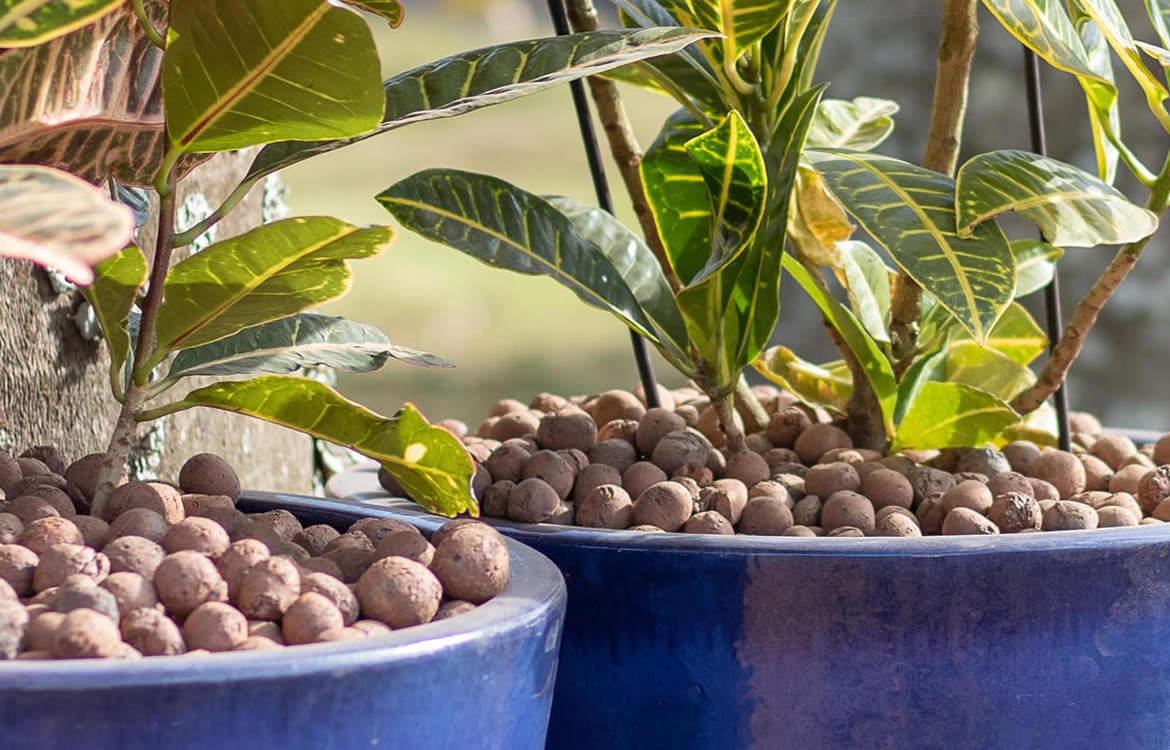 Argila Expandida Cinexpan Saco 50 Litros 3222 - Paisagismo ConstruçãO ...