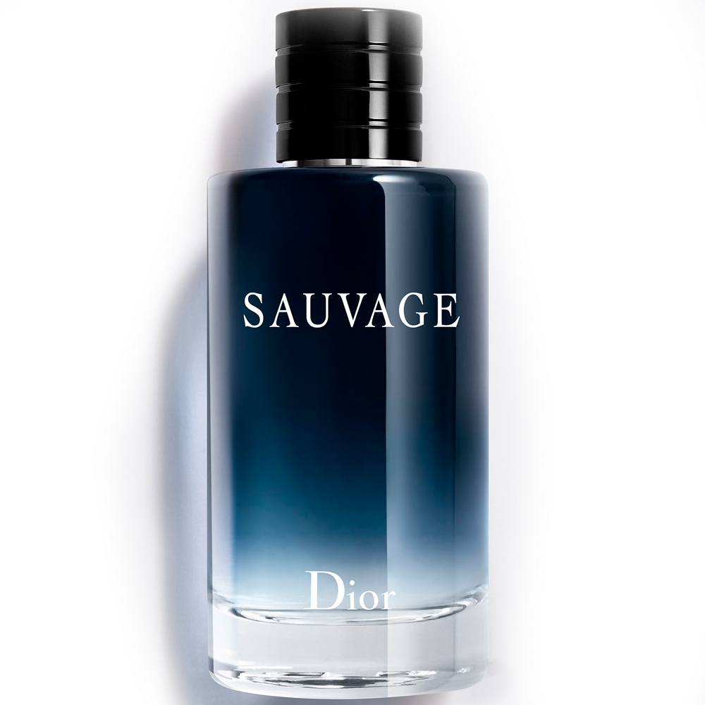 Perfume Masculino, Christian Dior, Sauvage EAU de Toilette, 200ml - SobralTech