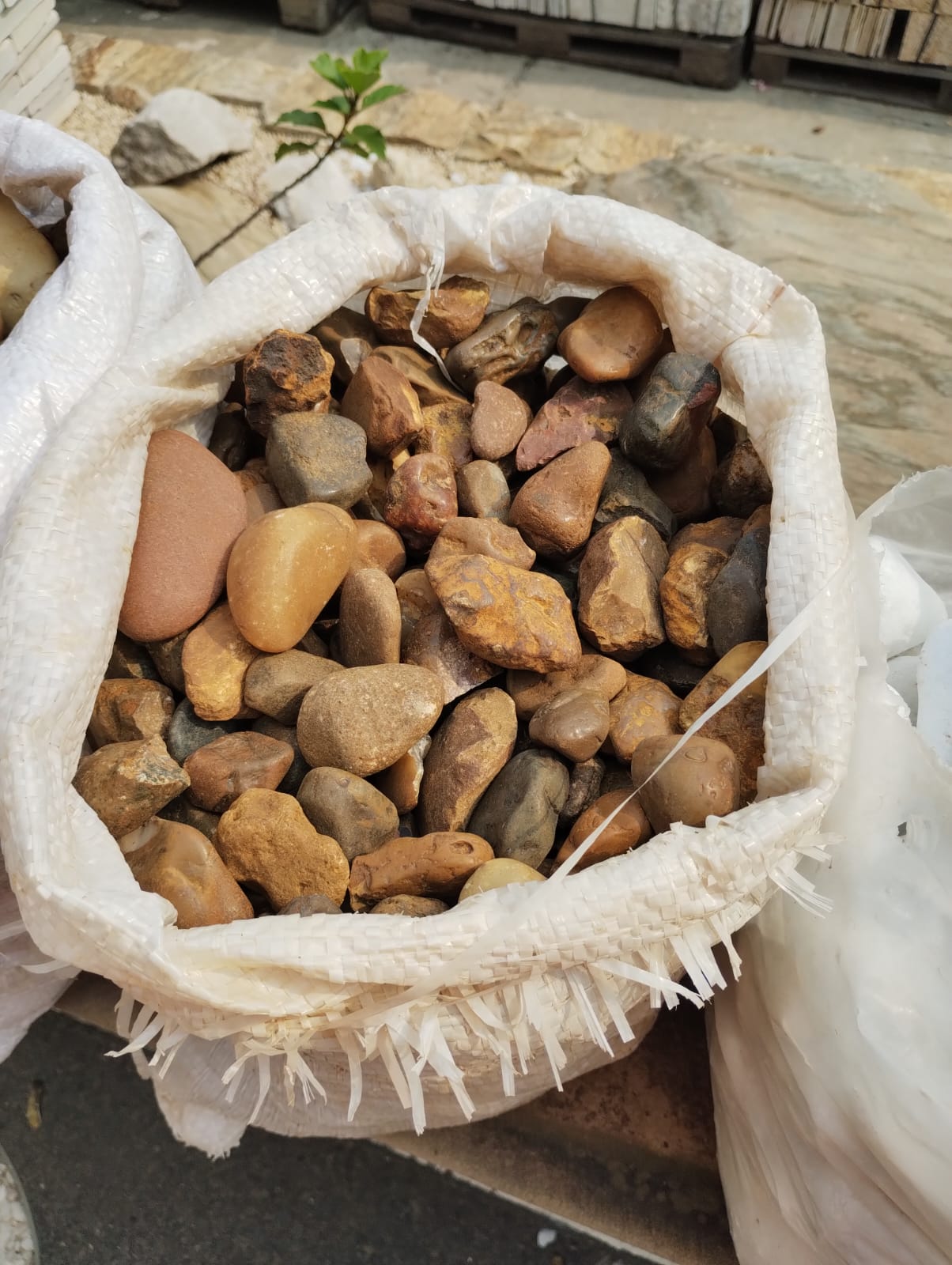 Seixo Marrom Nº 2 - Saco 25 Kg - R$ 25,00 - Casa das Pedras Decorativas