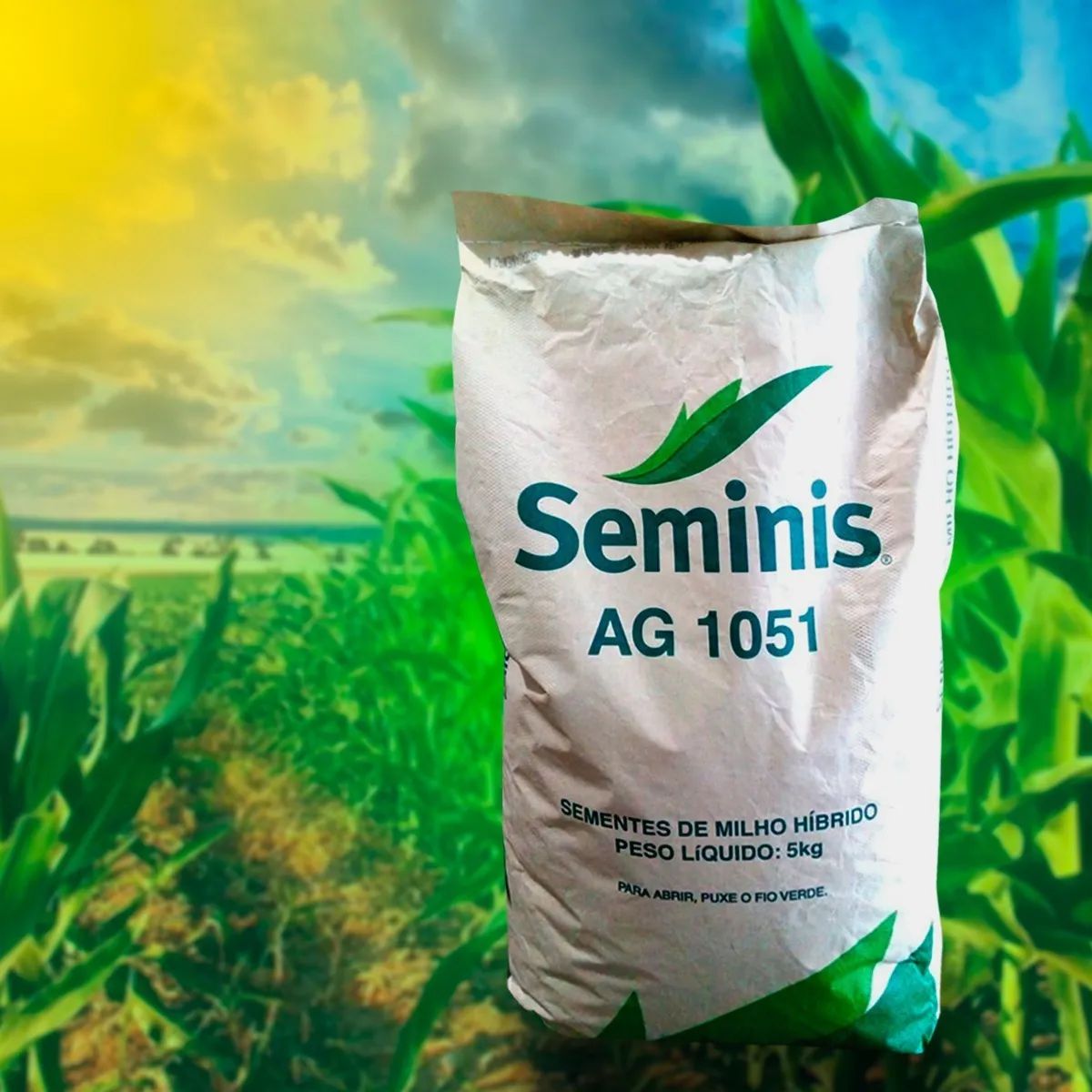 Semente De Milho Híbrido AG 1051 - Seminis - 5kg - AgroCampo Rural ...