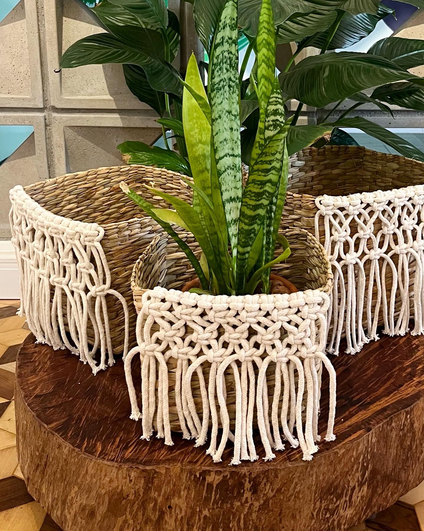 Cachepot Quadrado com Macrame - Produtos de Decoração feitos por mãos ...