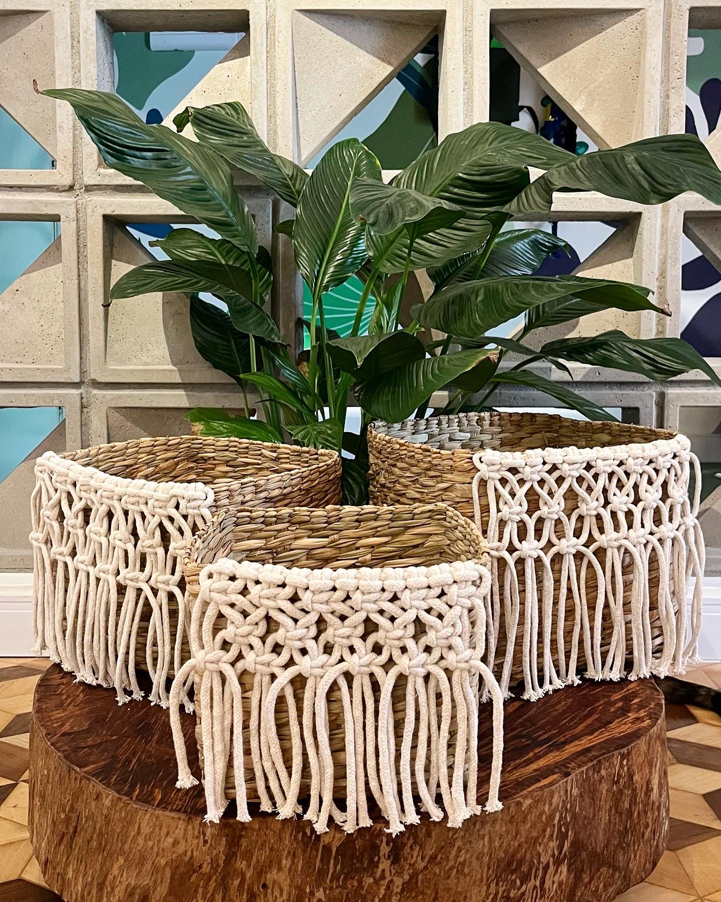 Cachepot Quadrado com Macrame - Produtos de Decoração feitos por mãos ...