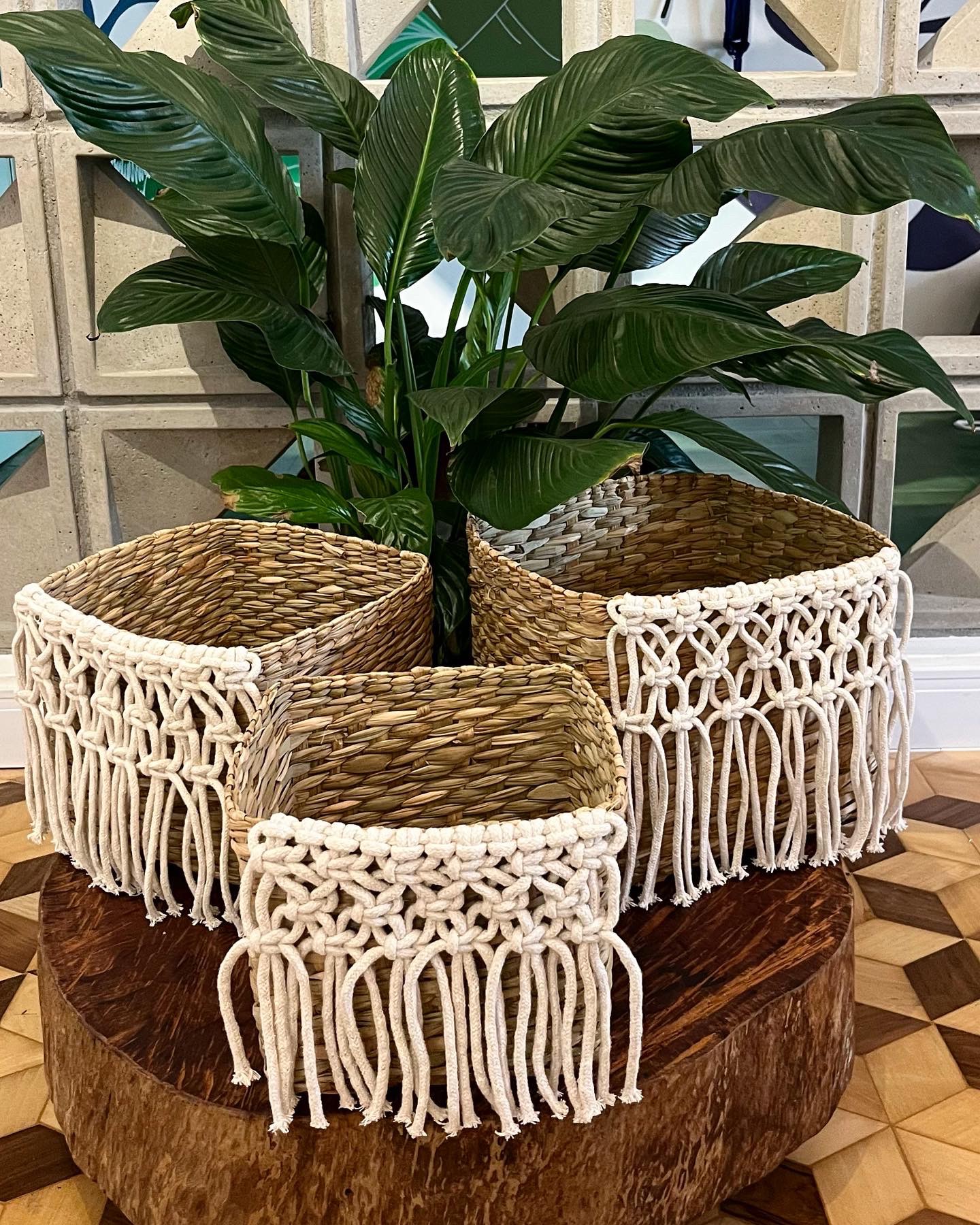 Cachepot Quadrado com Macrame - Produtos de Decoração feitos por mãos ...