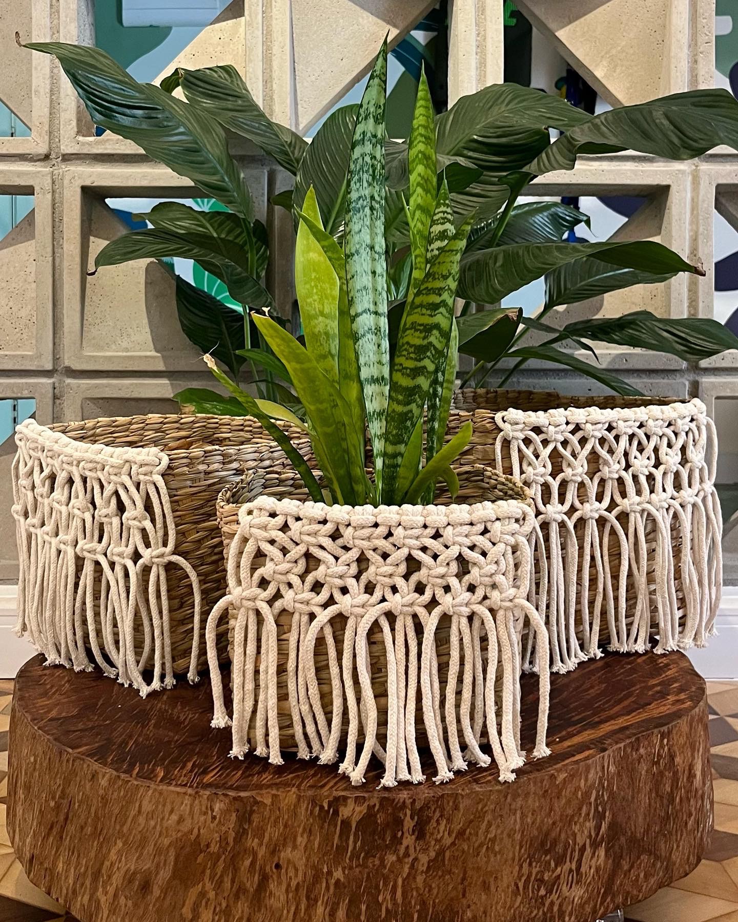 Cachepot Quadrado com Macrame - Produtos de Decoração feitos por mãos ...