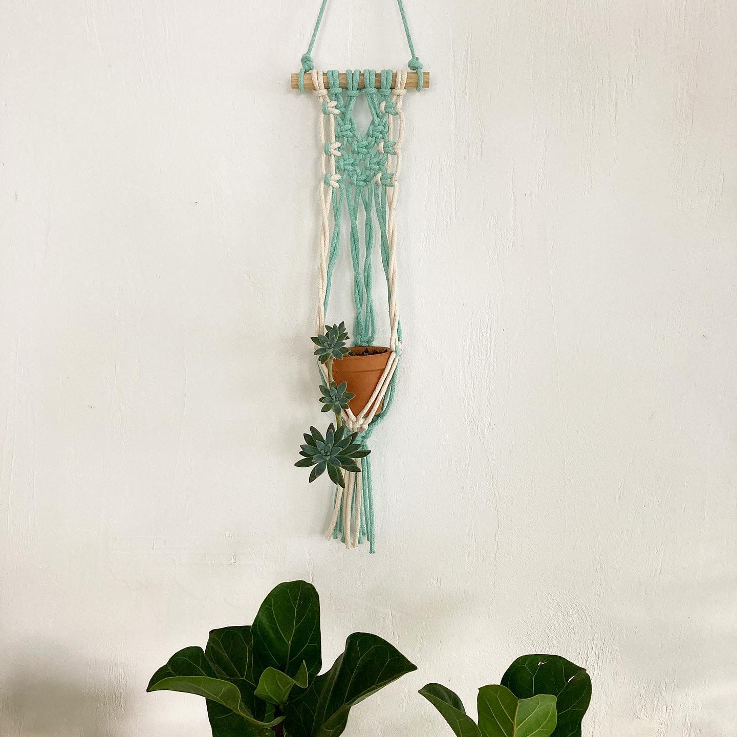 Mini Wall Hanger Candy Colors - Produtos de Decoração feitos por mãos ...