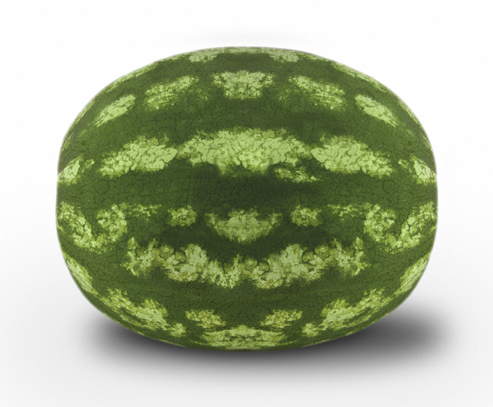 Sementes De Melancia Híbrida Invicta F1 - 100 Sementes - Superseed ...