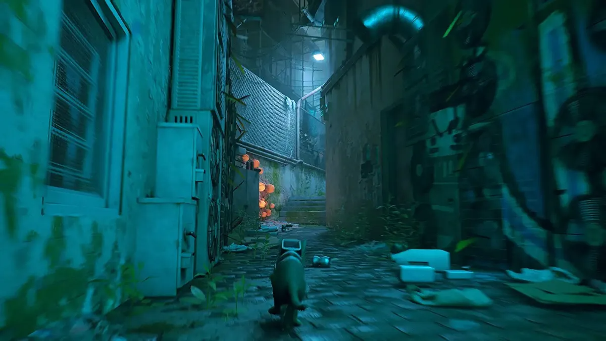 Jogo Stray Para PS4 - Loja de Vídeo Games Fortaleza EiNerdGames