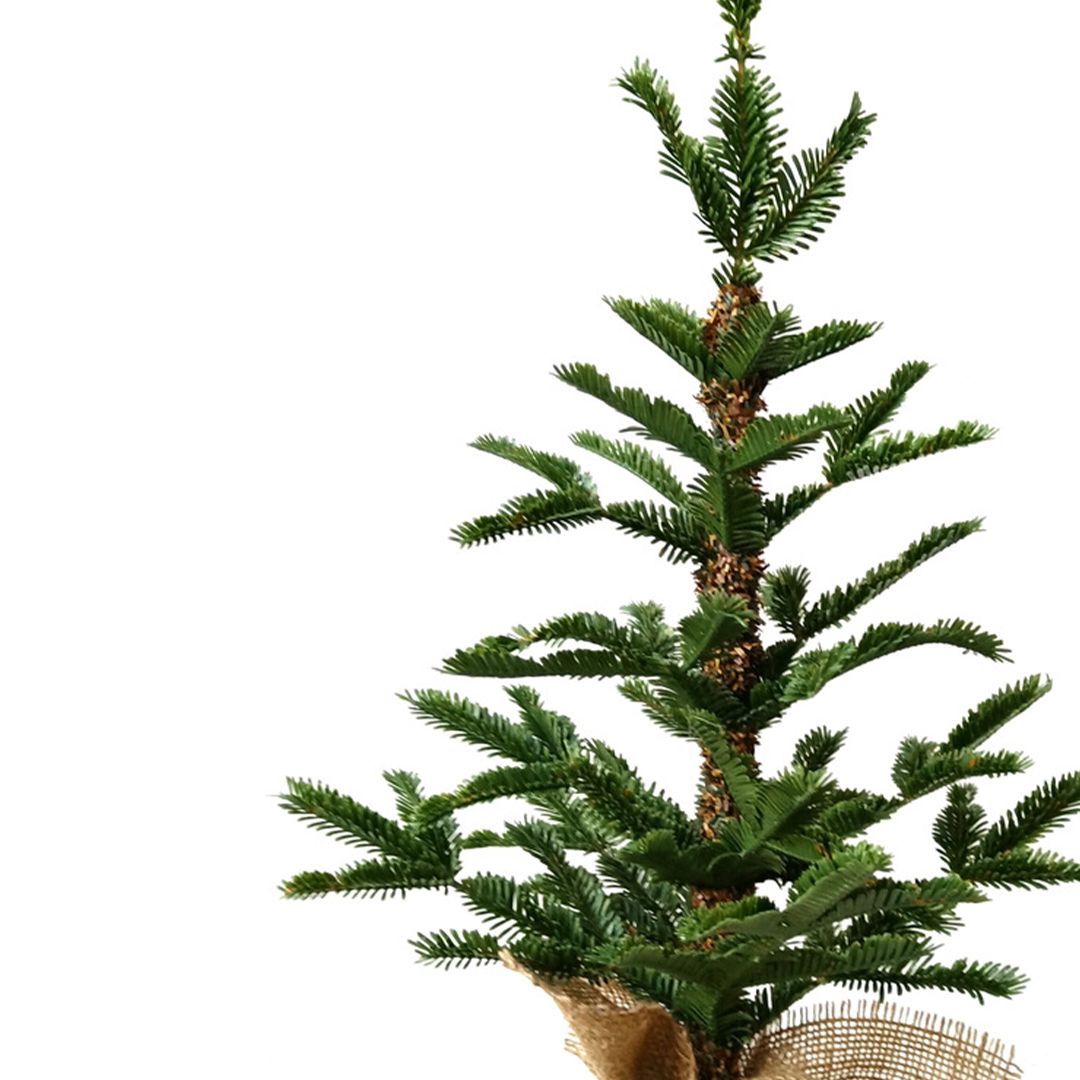 Árvore de Natal Realista - Pinheiro 60cm - Loja Então é Natal