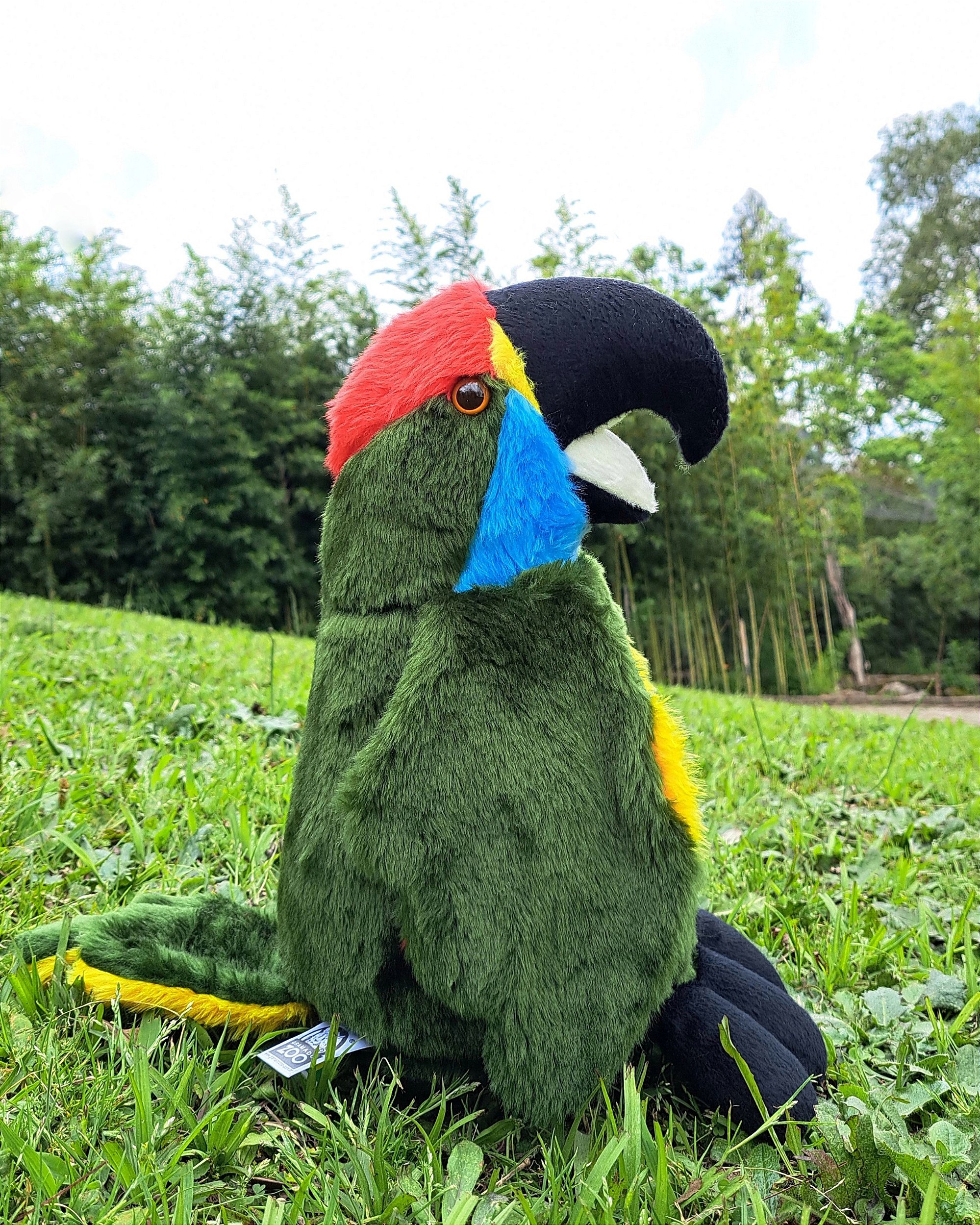 Pelúcia Papagaio Chauá - Loja Complexo GramadoZoo