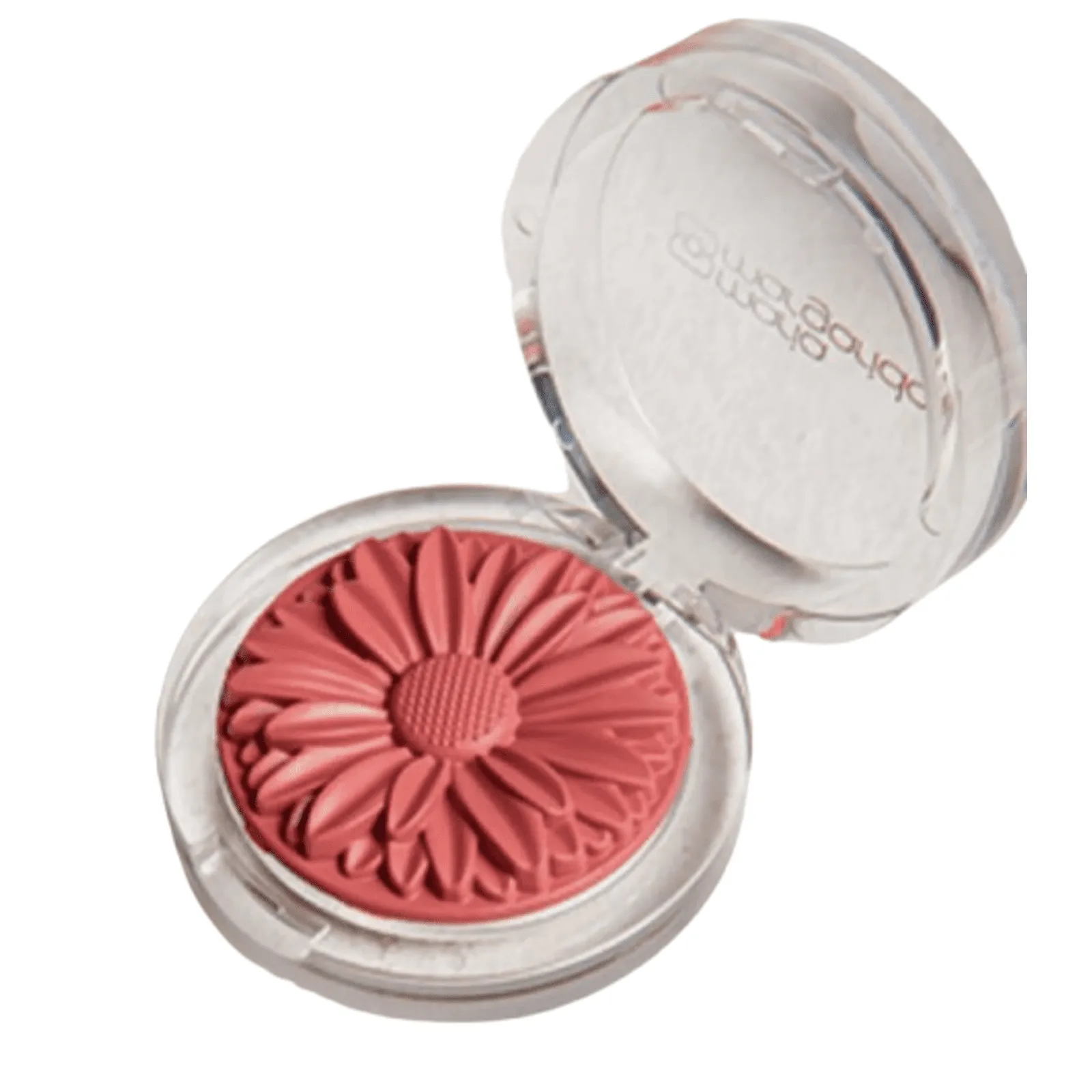 Blush MargariPétala Margarida - Maria Margarida - Lily Makeup Store