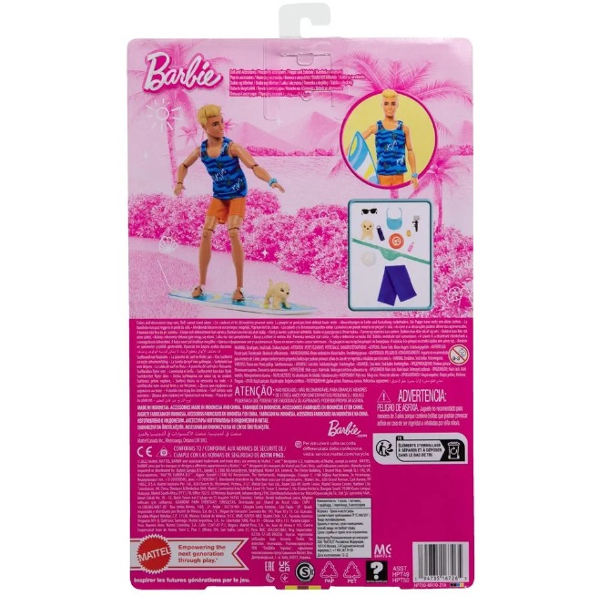 Boneco Ken Filme Barbie Dia de Surf Com Acessórios HPT49 - Mattel ...