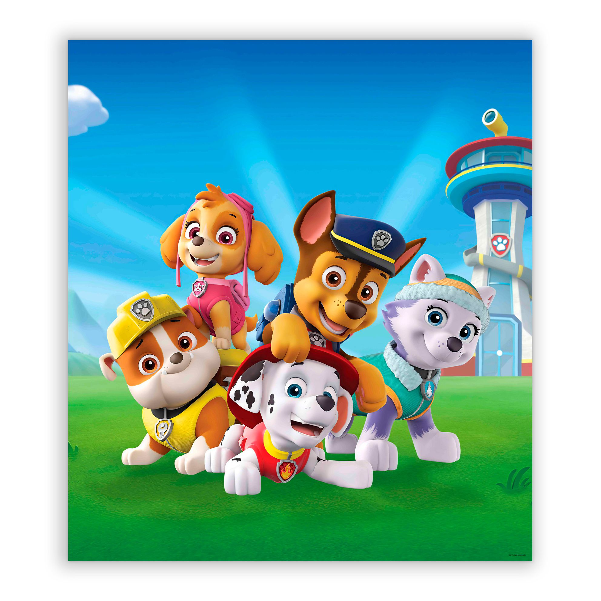 Painel Quadrado - Patrulha Canina - Sublimado 3D - Sublitex, painéis ...