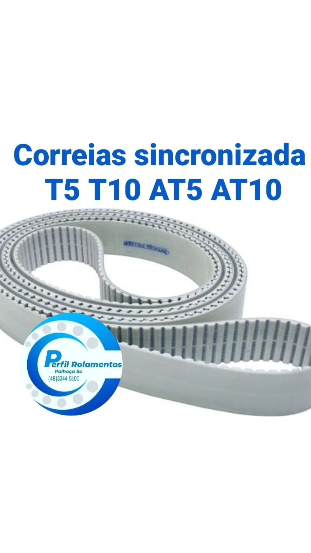 Correia T5 505 x22mm largura - Perfil Rolamentos a maior variedade de rolamentos de Santa Catarina