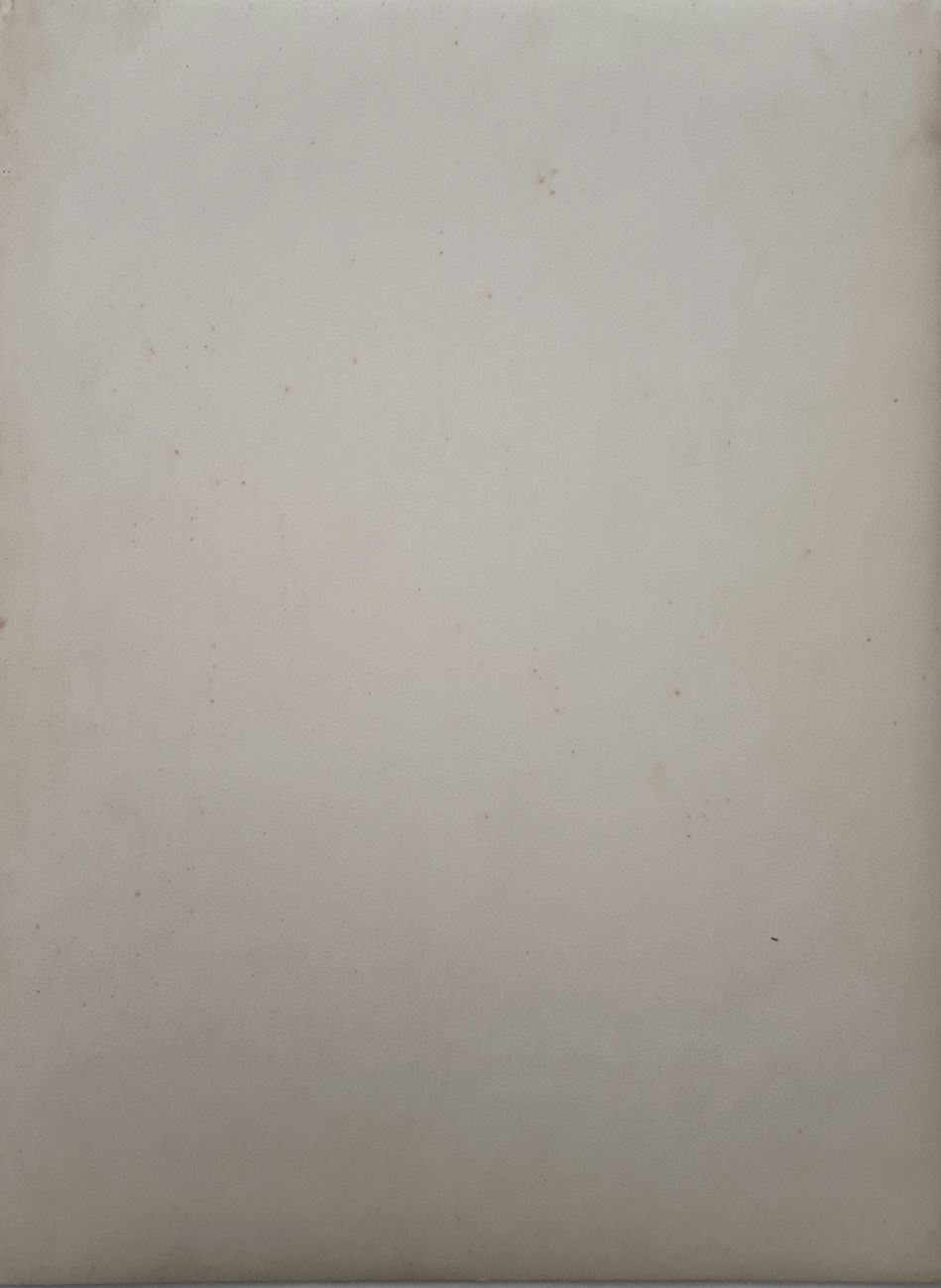 JEAN LECOCQ - Fotógrafo Premiado - Foto Pont Neuf, Paris - Lenach ...