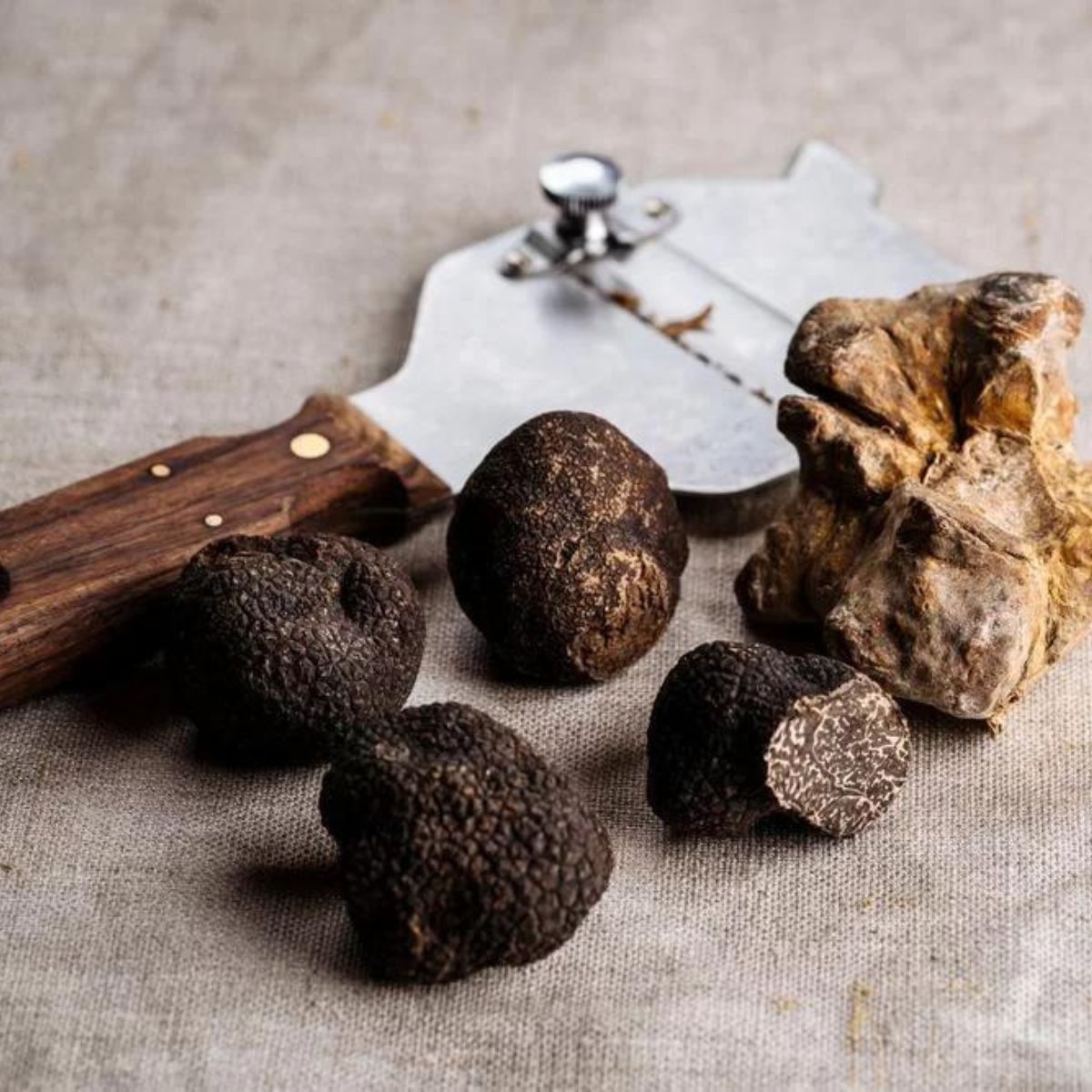 Molho de Trufa Negra Italiana Colle Del Tartufo 90g - Emporio Campo Gourmet