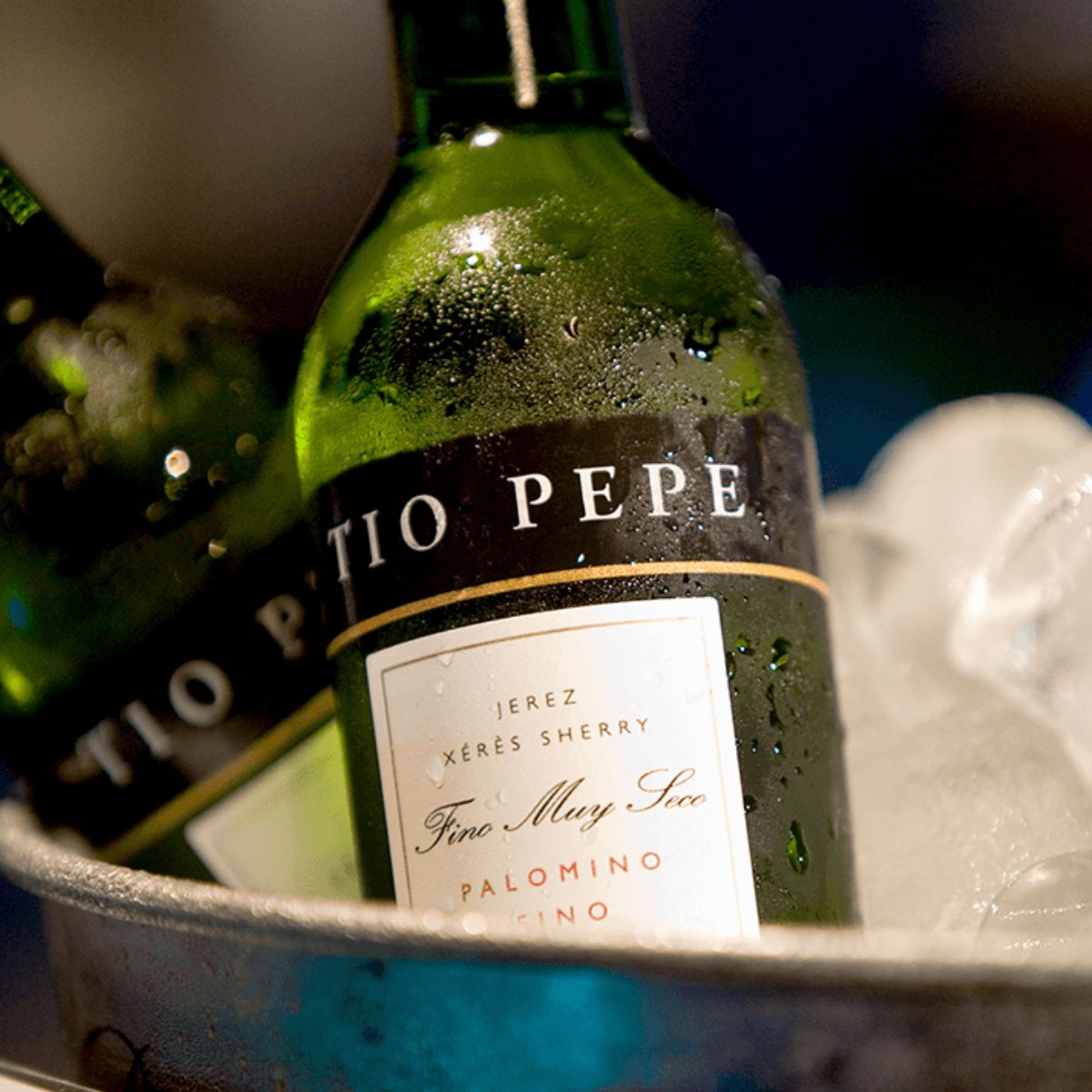 Vinho Fortificado Gonzalez Byass Tio Pepe Fino 750Ml - Emporio Campo ...