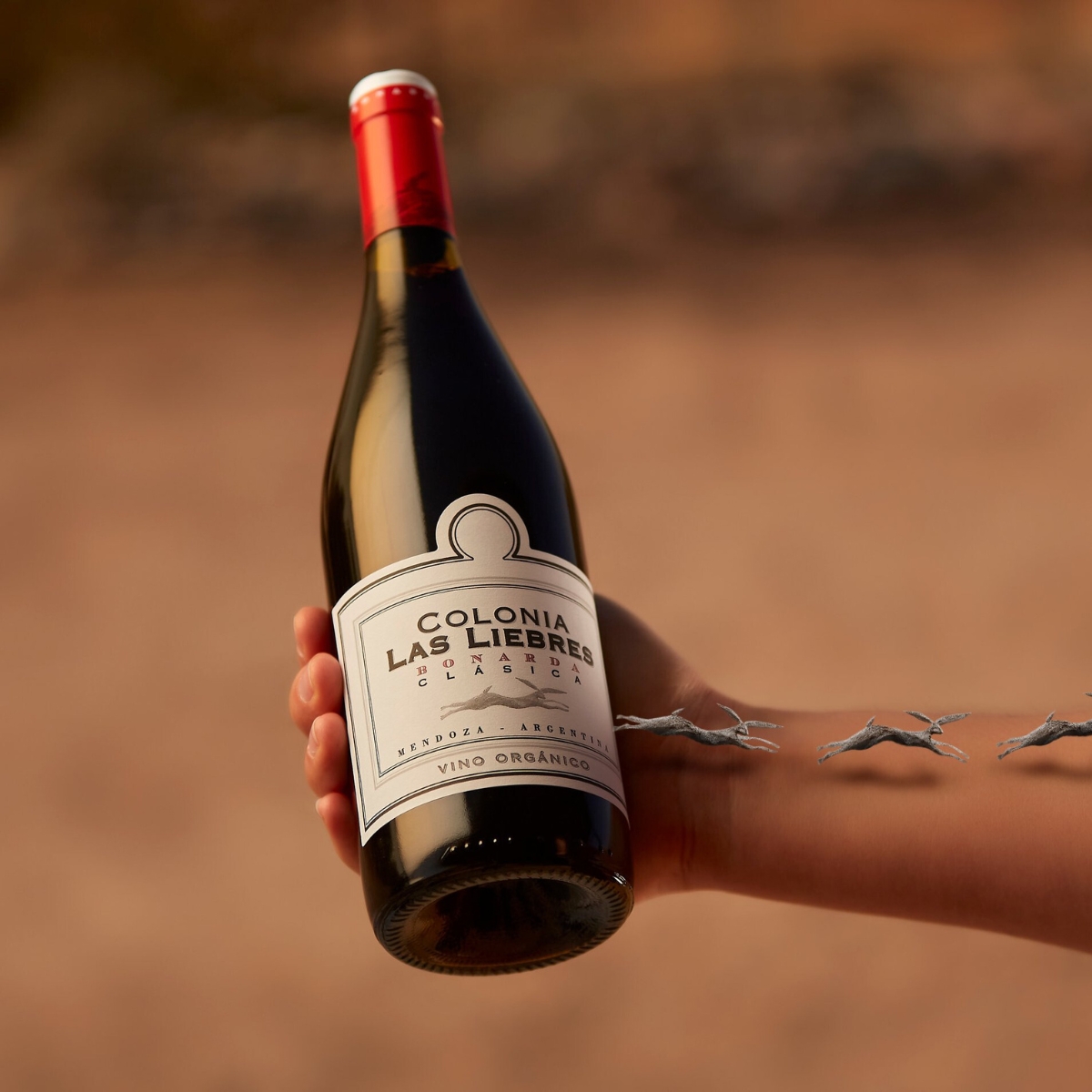 Vinho Altos Las Hormigas Colina Las Liebres Bonarda 750ml - Emporio ...