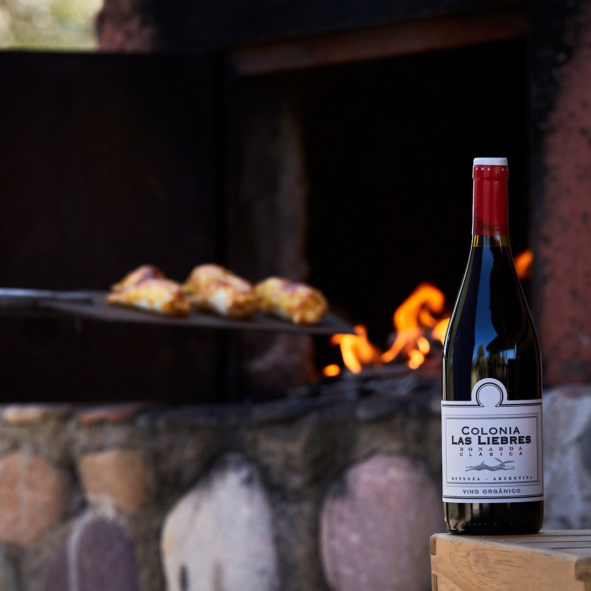 Vinho Altos Las Hormigas Colina Las Liebres Bonarda 750ml - Emporio ...