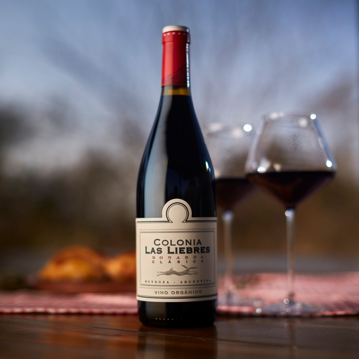 Vinho Altos Las Hormigas Colina Las Liebres Bonarda 750ml - Emporio ...