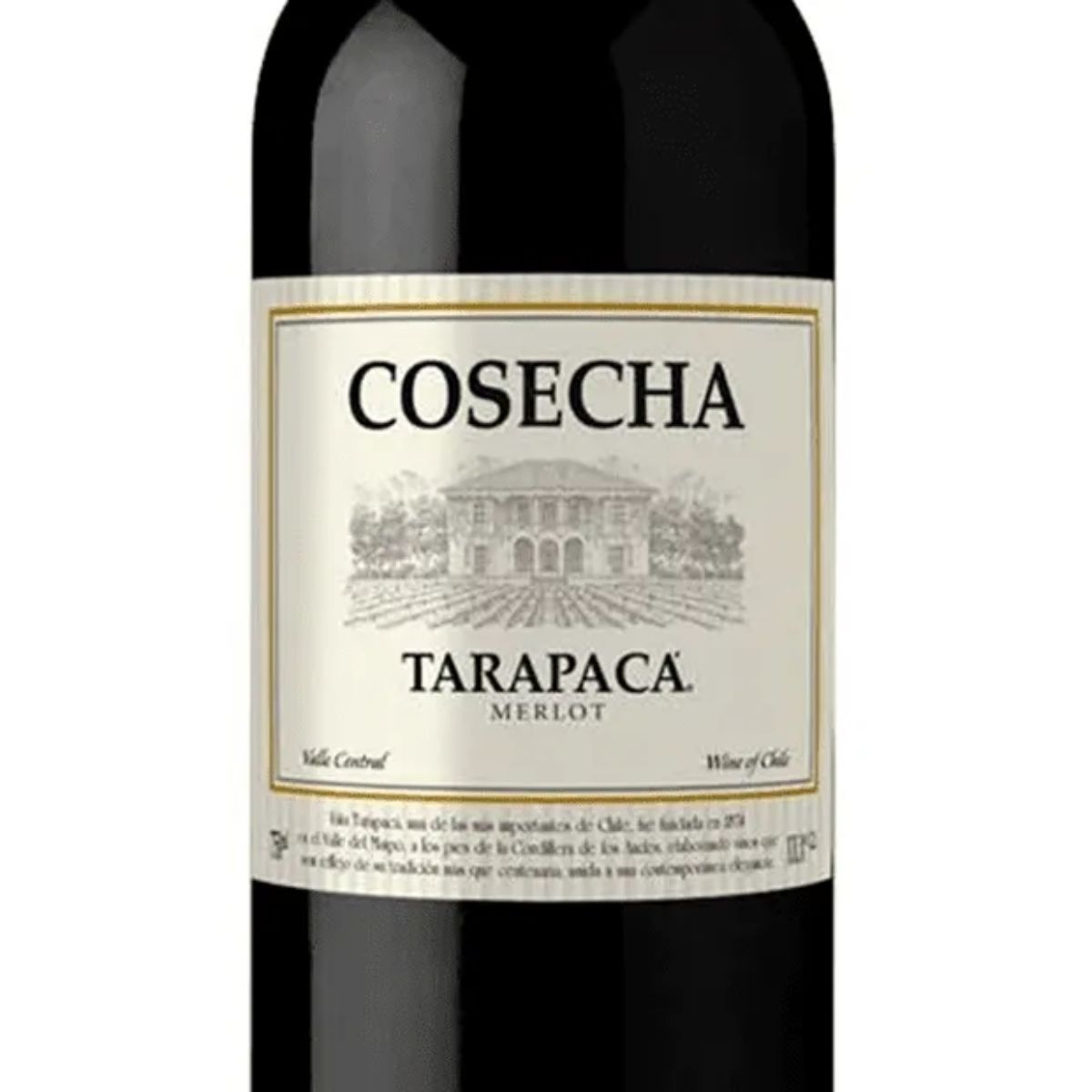 Vinho Tinto Tarapacá Cosecha Merlot 750ml - Emporio Campo Gourmet