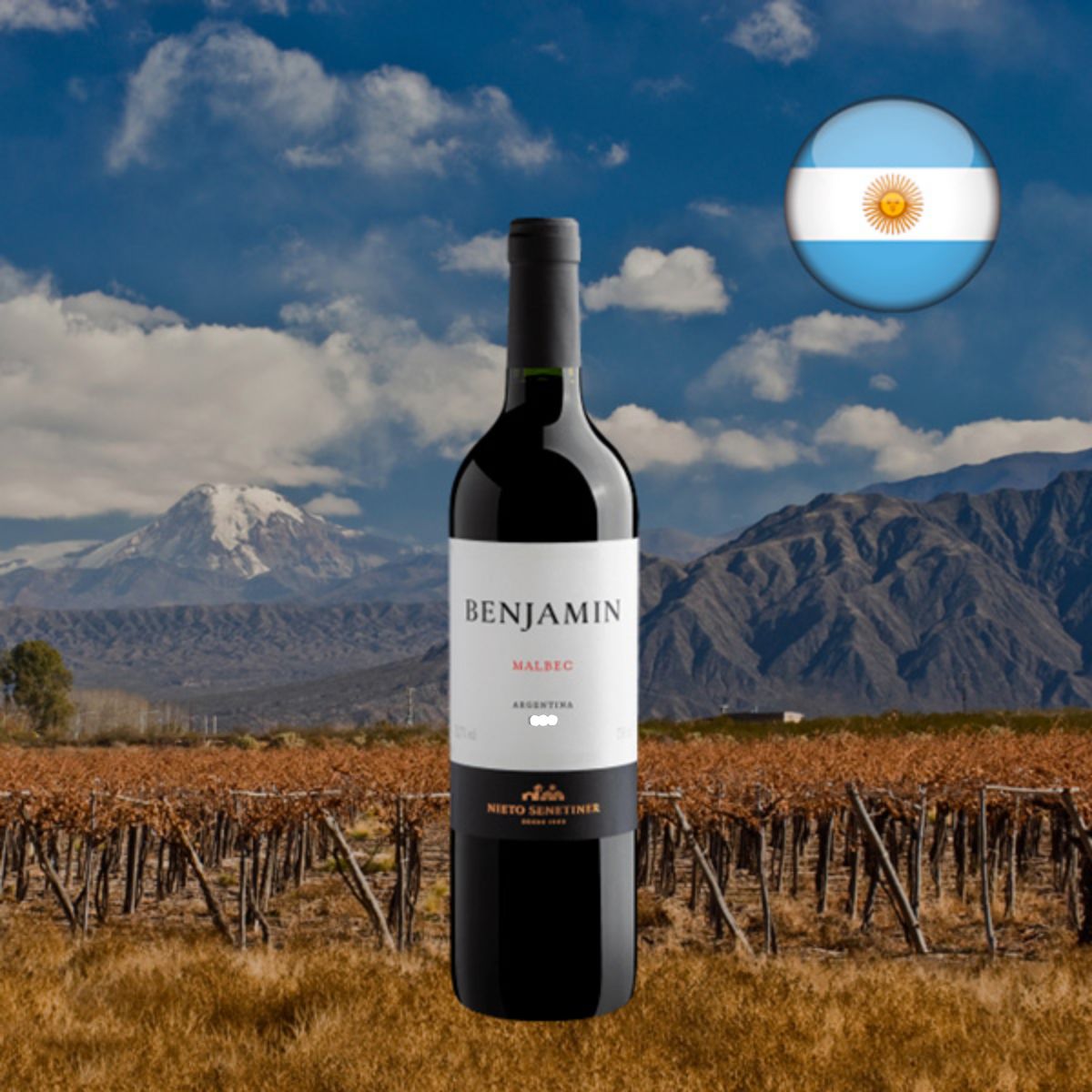 Kit 3 Vinhos Tinto Benjamin Nieto Senetiner Malbec Argentino 750ml - Emporio Campo Gourmet