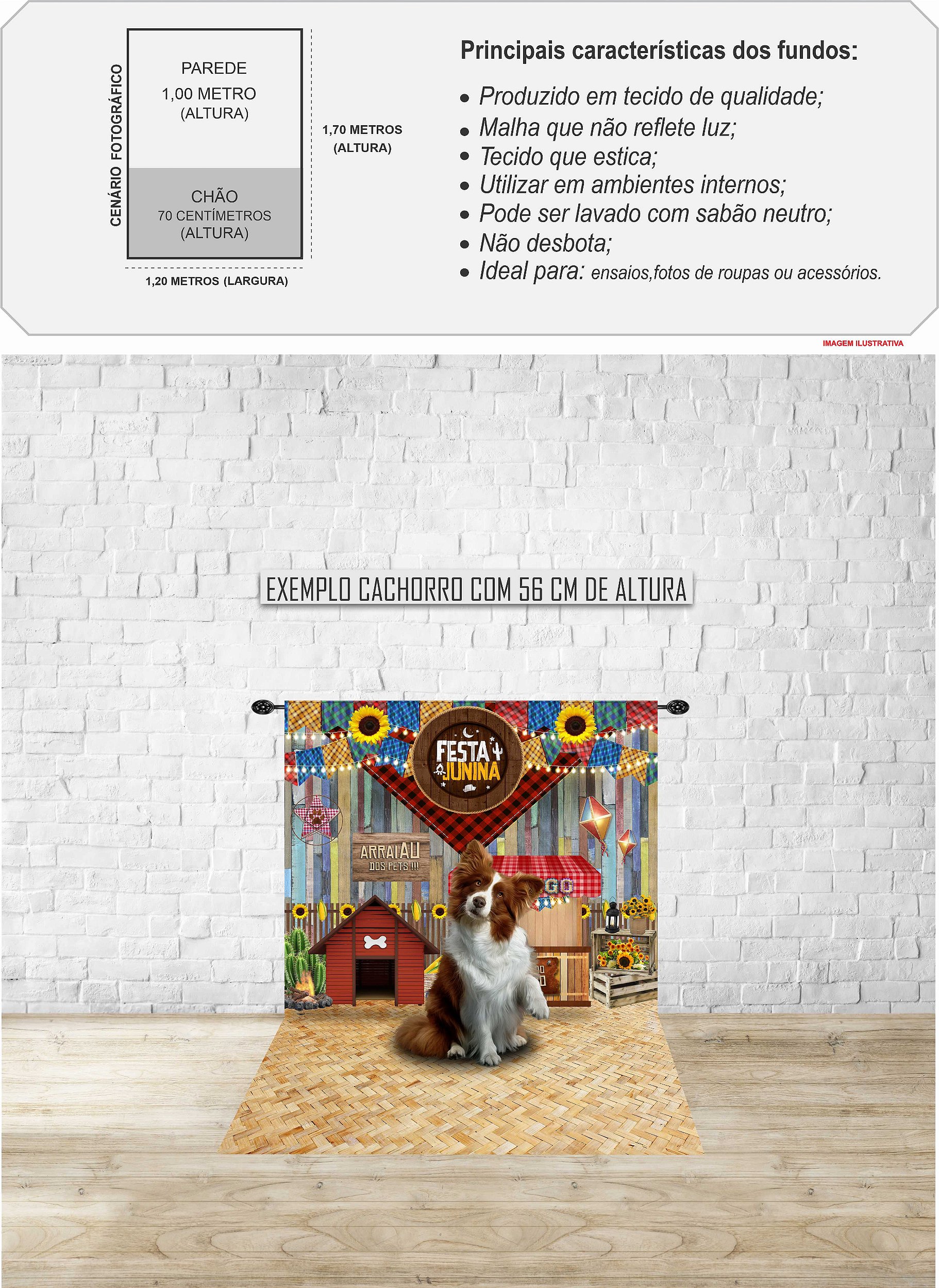 Fundo Fotográfico Cenário Estampa Festa Junina 2 - 1,70x1,20 - Loja Fantasia Bras