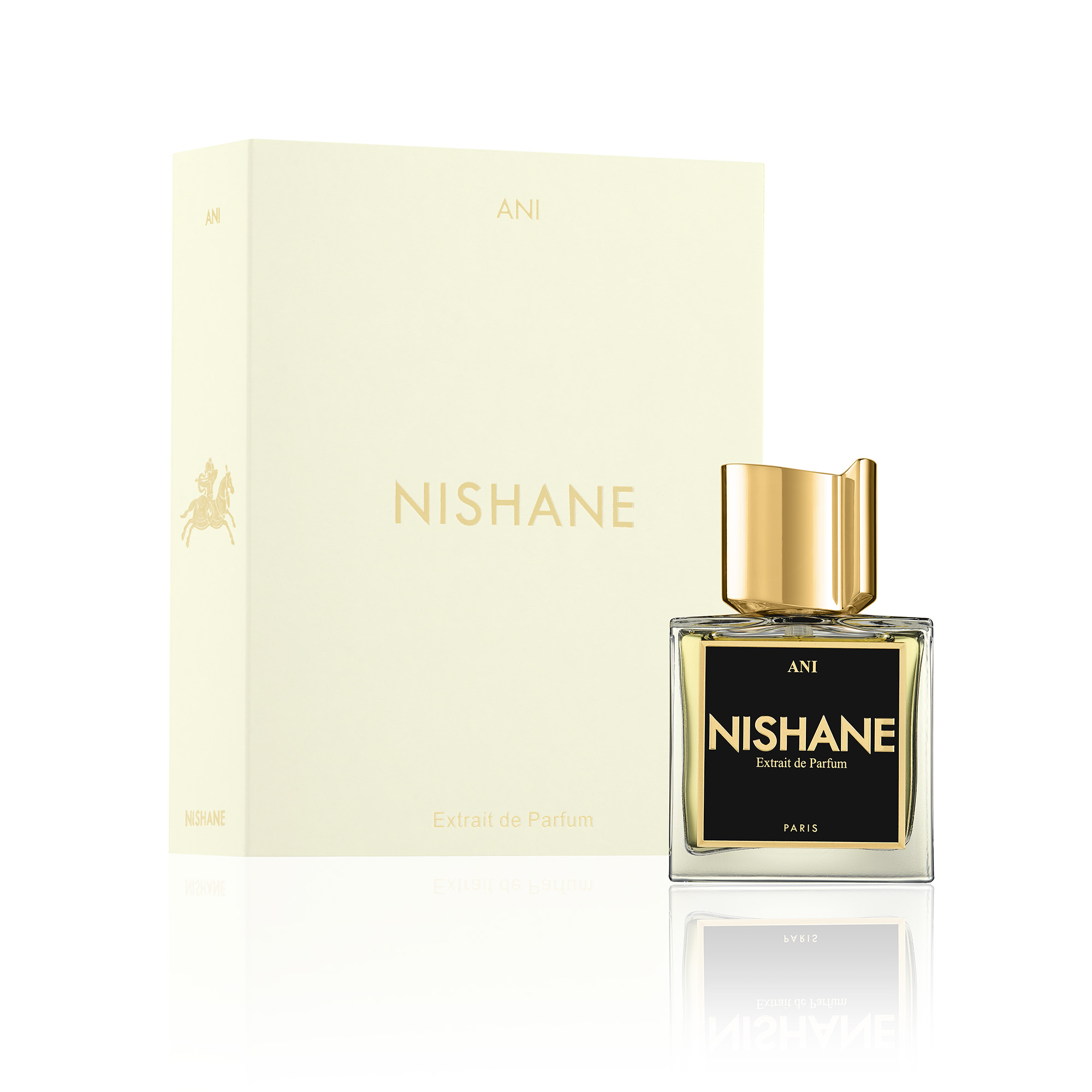 NISHANE ANI EXDP 50ML - LUXURY BRANDS