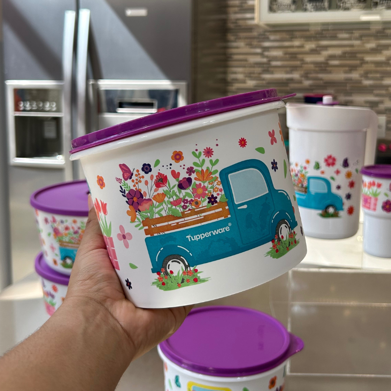 Tupperware Tupper Caixas Caminho das Flores - Loja Tupperware ChefeWare