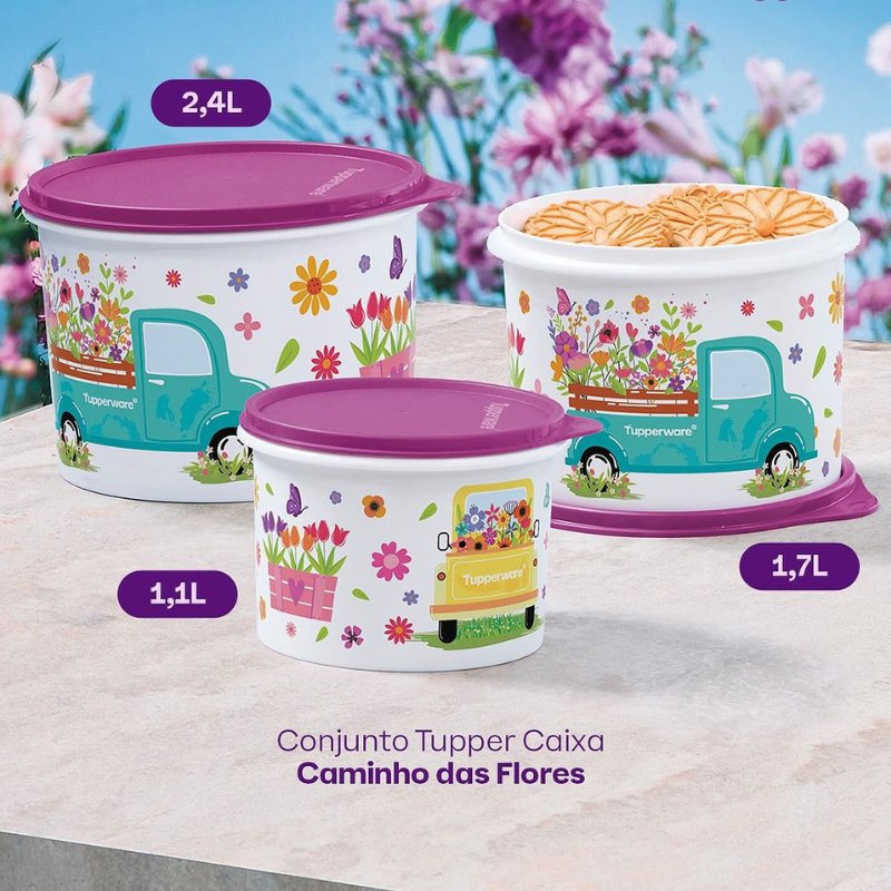 Tupperware Tupper Caixas Caminho das Flores - Loja Tupperware ChefeWare