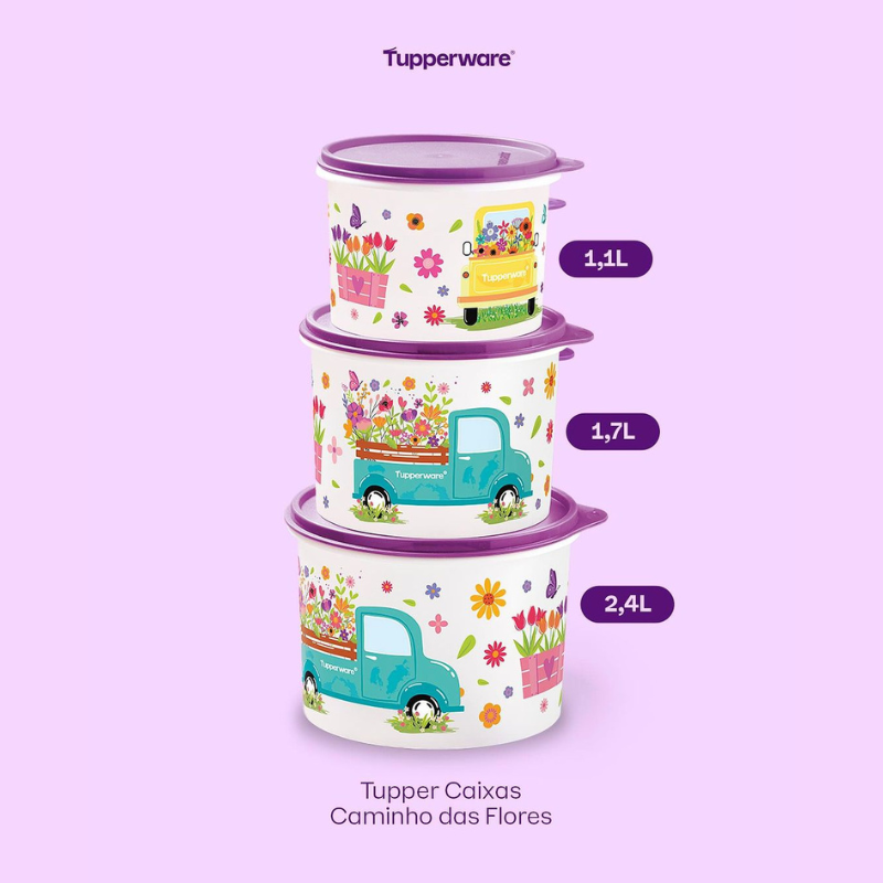 Tupperware Tupper Caixas Caminho das Flores - Loja Tupperware ChefeWare