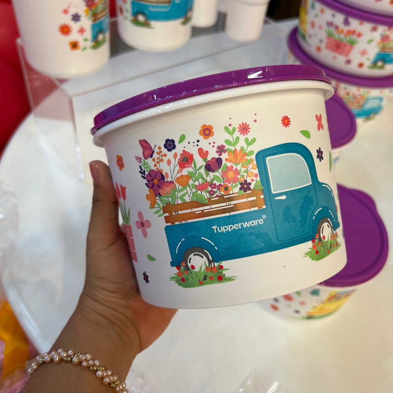 Tupperware Tupper Caixas Caminho das Flores - Loja Tupperware ChefeWare