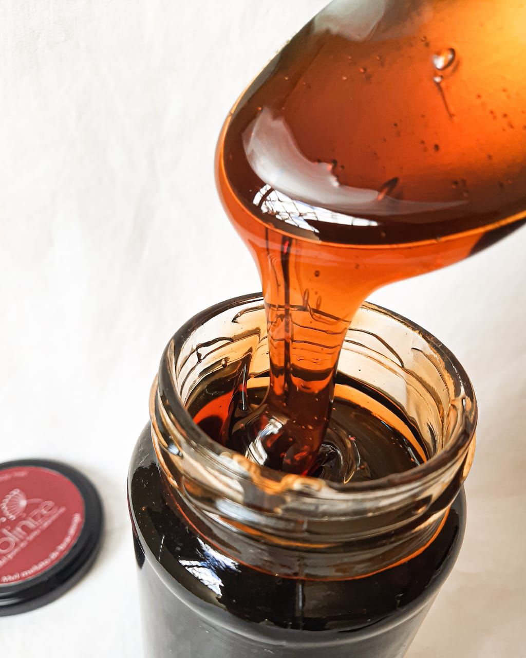 Mel Melato de Bracatinga de 460g - Polinize