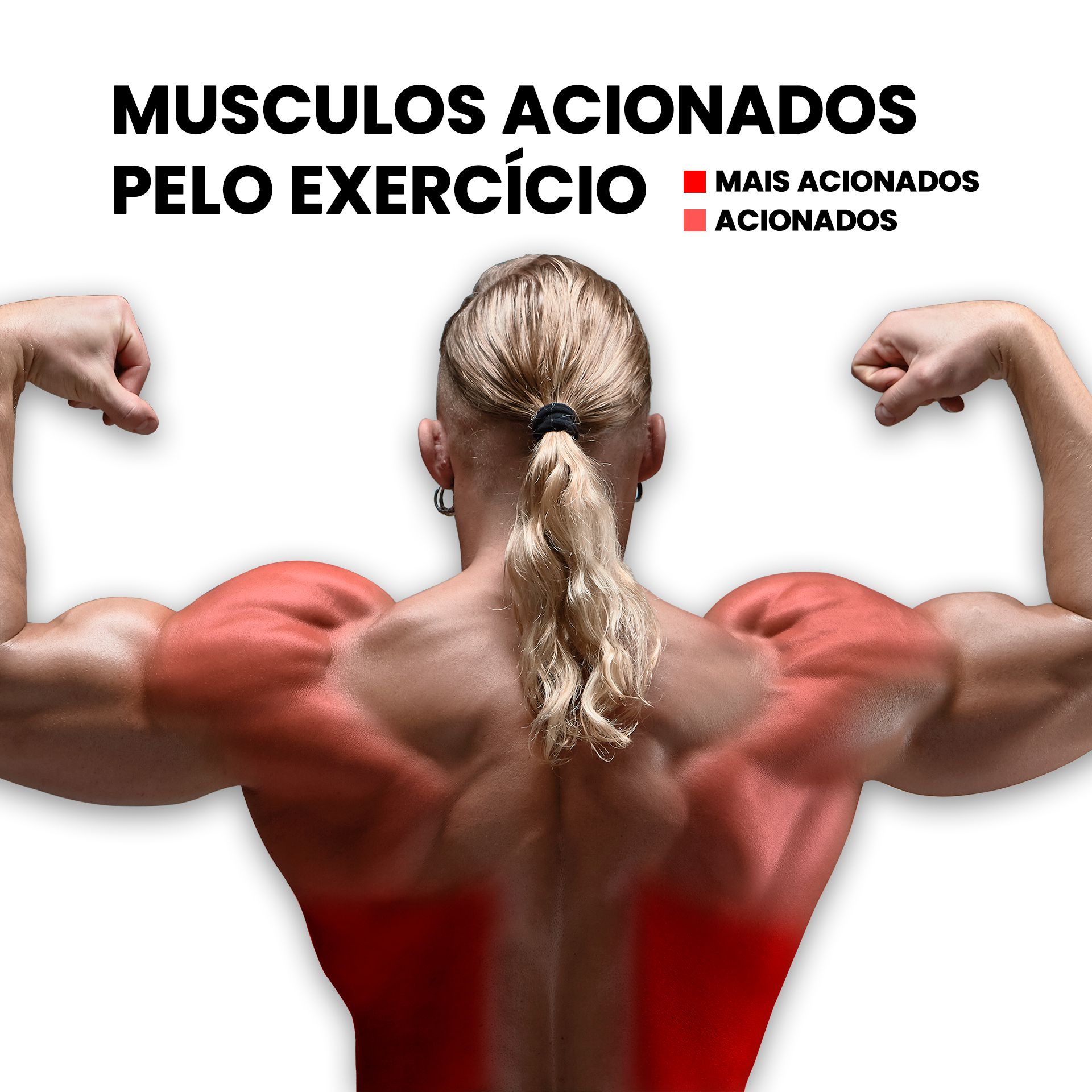 Barra Fixa e Paralela para Musculação e Academia - Loja Real Mania ...