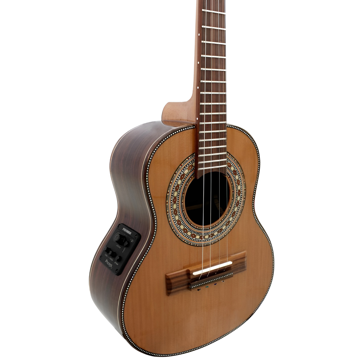 Cavaco Giannini Raiz Fishman CS9|Instrumnentos Cordas|American Musical ...