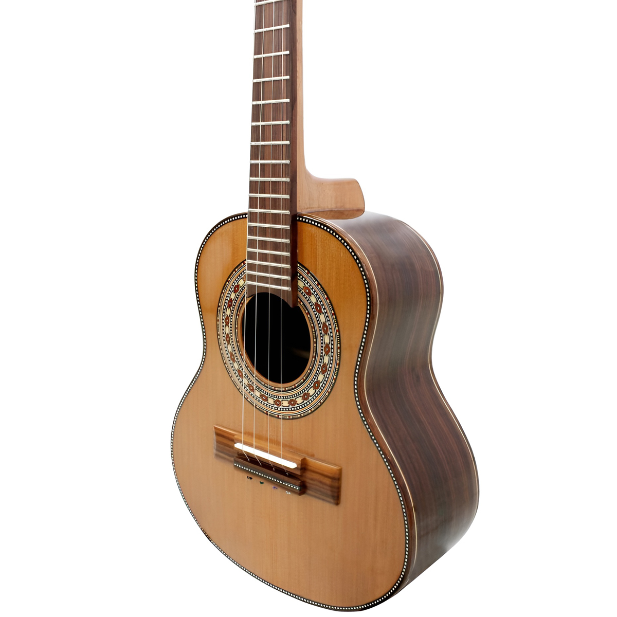 Cavaco Giannini Raiz Fishman CS9|Instrumnentos Cordas|American Musical ...