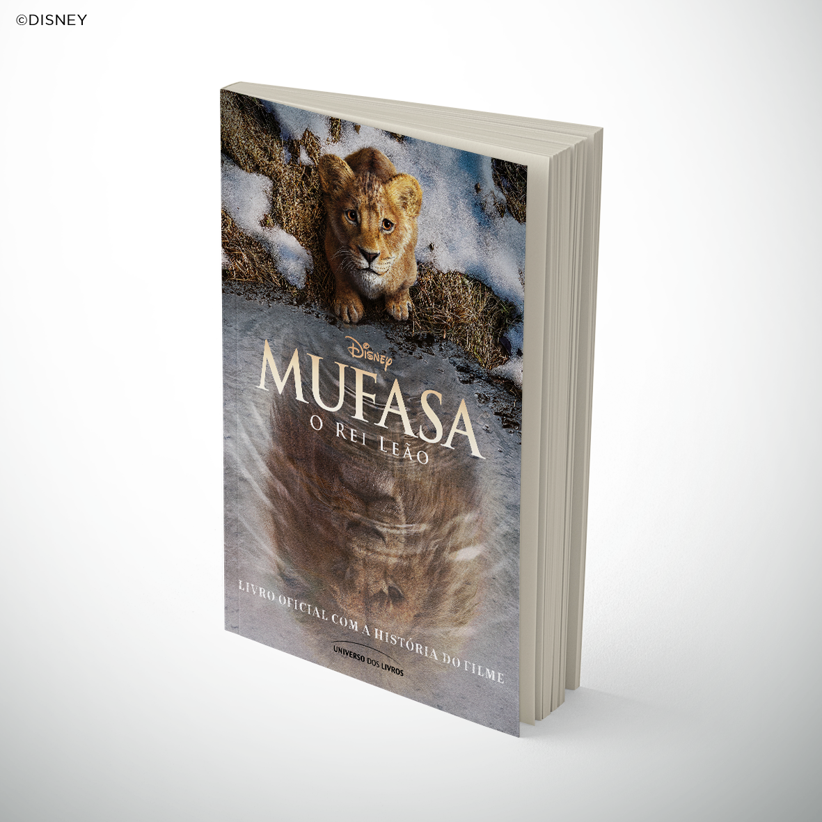 Mufasa: O Rei Leão – Livro oficial com a história do filme - Universo ...