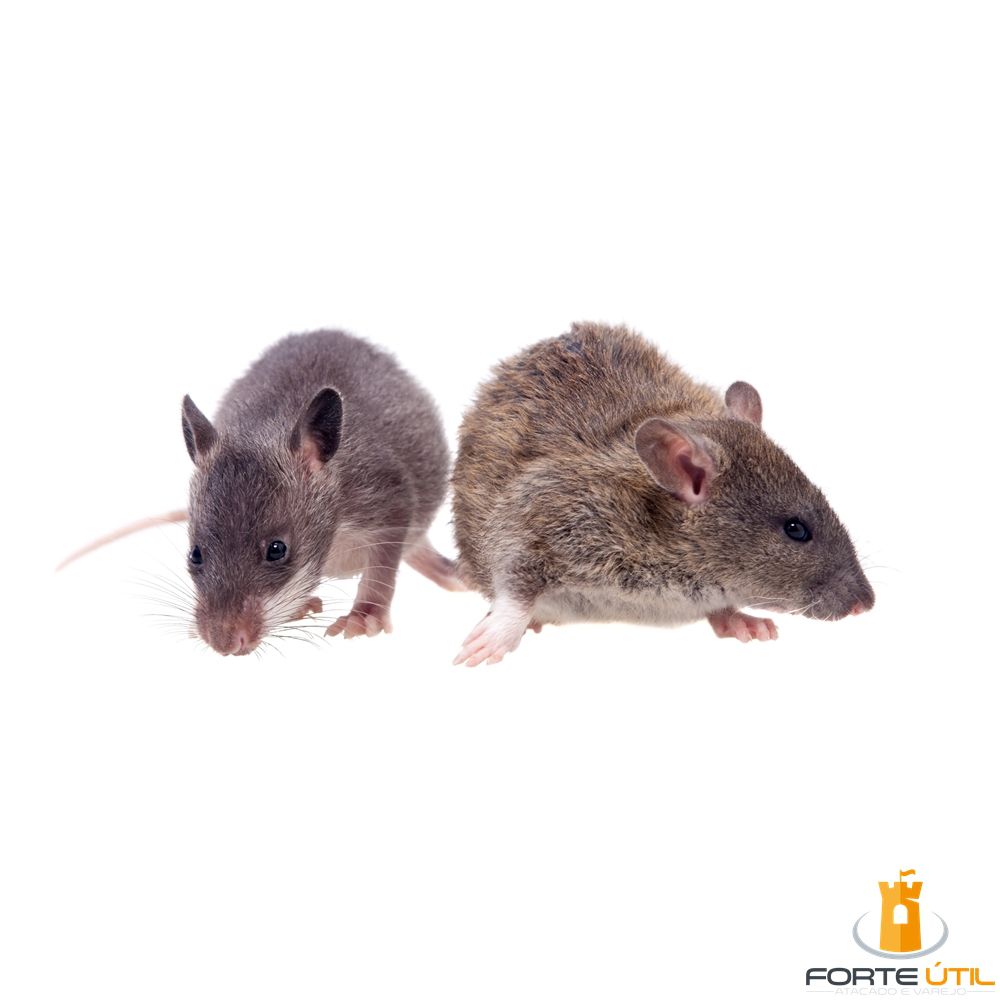 RATICIDA PELLETS ROSA CITROMAX Saco (40x25g) 1 Kg - FORTE UTIL