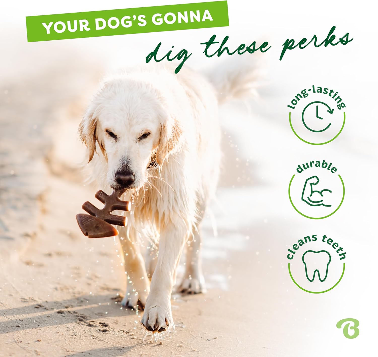 Brinquedo Benebone Fishbone Tamanho Grande - O seu pet shop no Rio de Janeiro | Pet Shop Sonho ...