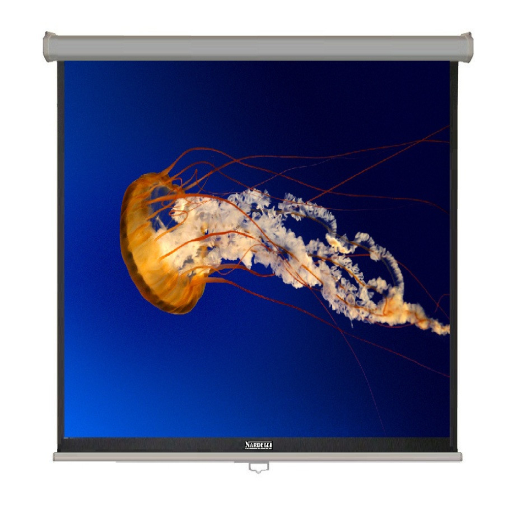 Tela De Projeção Nardelli Retrátil - Luxo Nrl - 001 150 X 150Cm ...