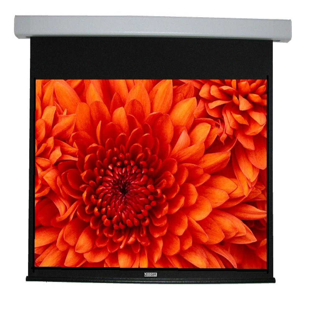 Tela De Projeção Nardelli Elétrica - Luxo Nel-020 365 X 205Cm (165 ...