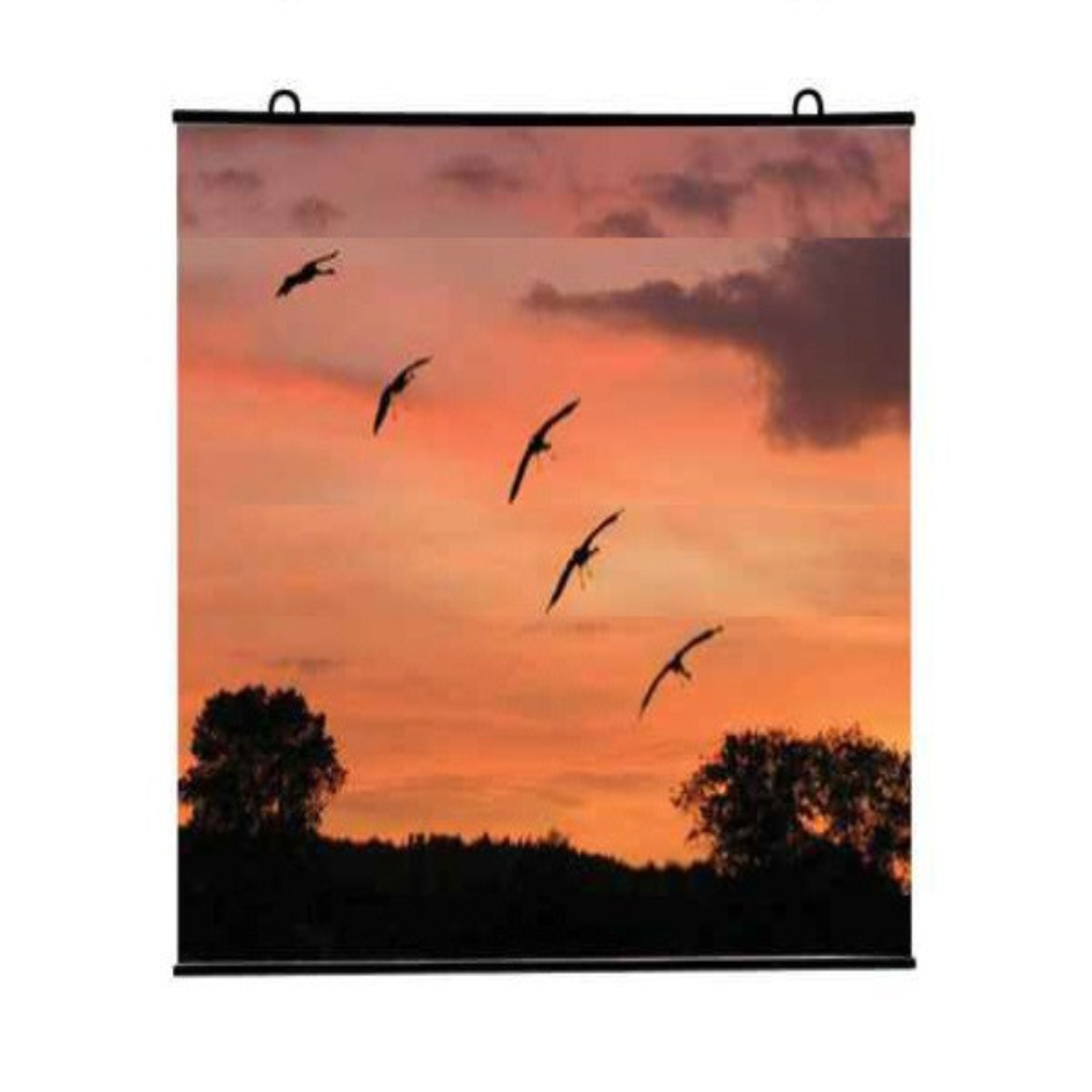 Tela De Projeção Nardelli Mapa - Standard Nms - 009 180 X 112Cm (83 ...