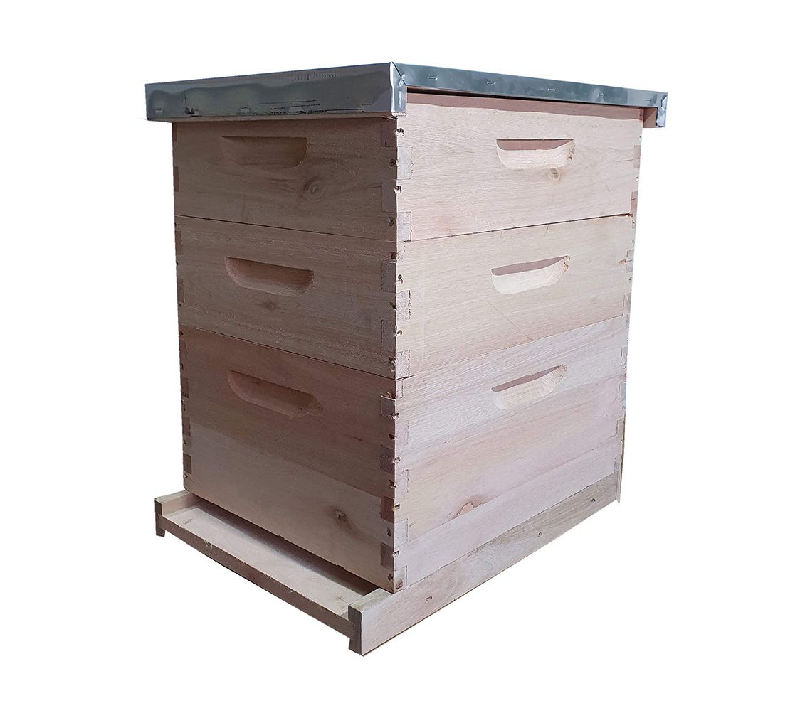 Colmeia Padrão Langstroth Com 01 Ninho e 02 Melgueiras Cobertura de ...